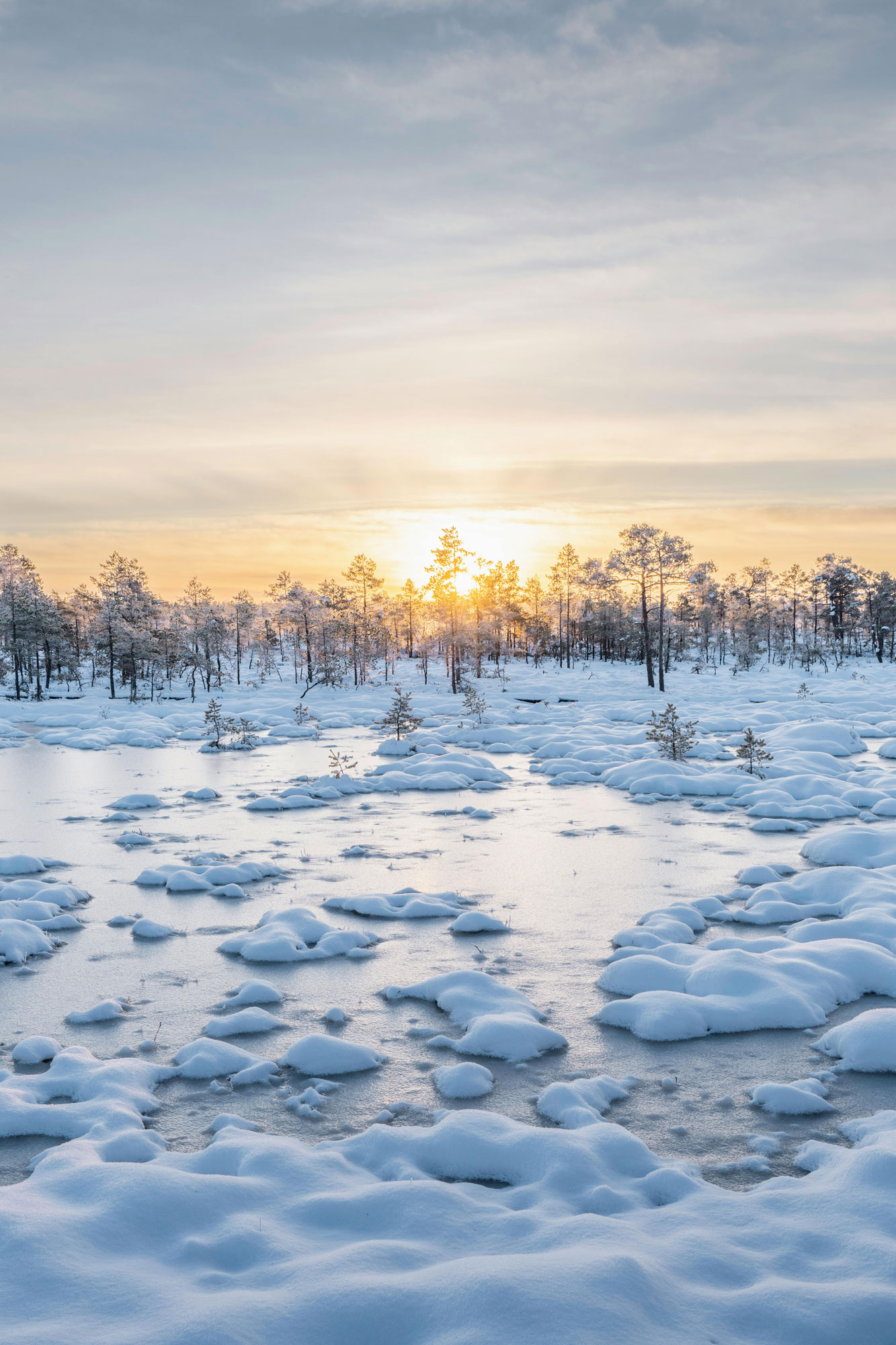 Logos. Pathos. Ethos. – Angel K Will